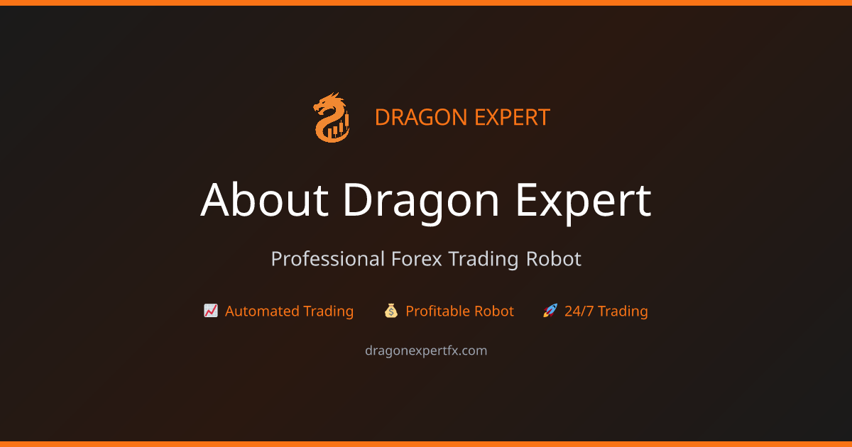 About Us | Dragon Expert